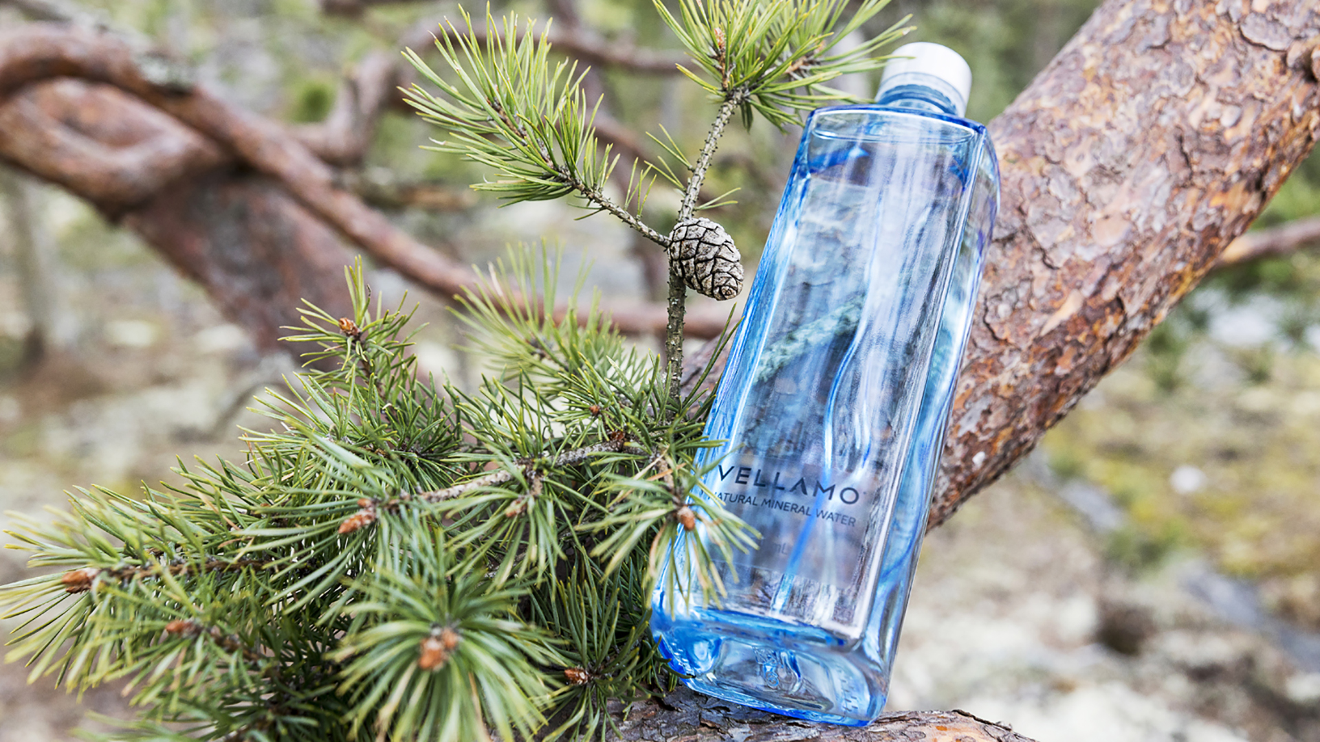 Vellamo Water | a Clear Biobased Label for the Purest Mineral Water ...